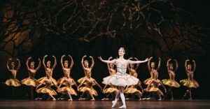 15 Best Ballet Companies In The World - City Dance Studios